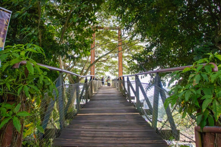 Daytrip Kinabalu Park & Poring Hot Spring – Borneo Tour | Greenview ...