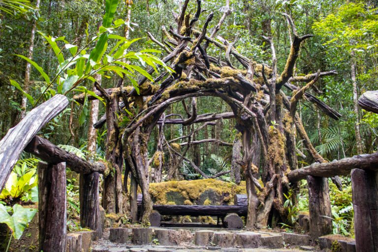 Daytrip Kinabalu Park & Poring Hot Spring – Borneo Tour | Greenview ...